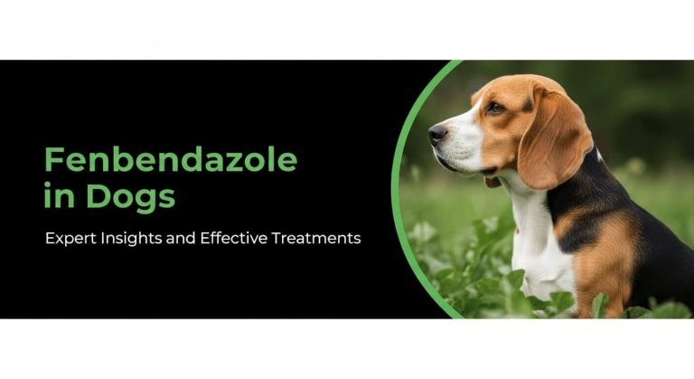 Fenbendazole Dogs - SafeRx Medicine